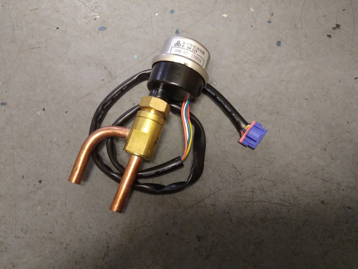 EEV ASSEMBLY WITH 12V COIL – Surplus City